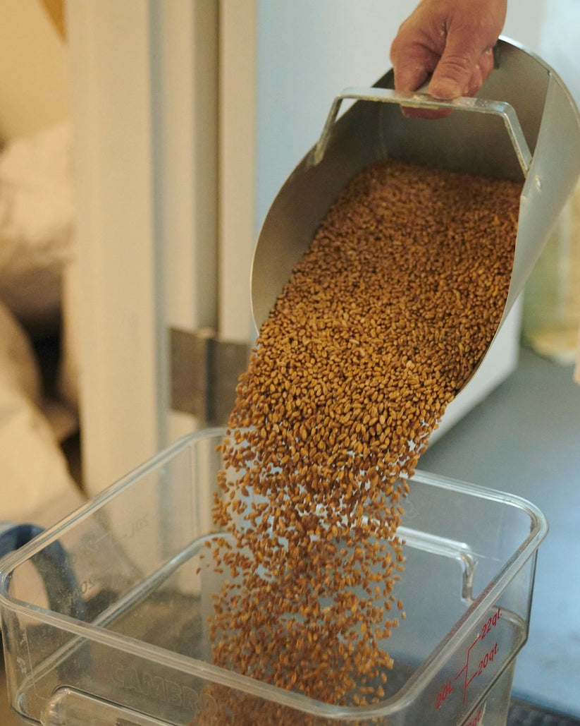 CLASS TICKETS: Grains & Friends - 02/21, Saturday @ 6 - 8:30pm ...